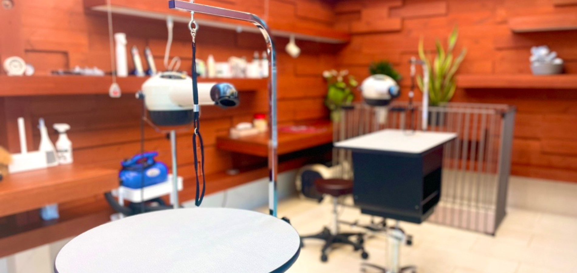 trimming salon Buddy 岡崎店