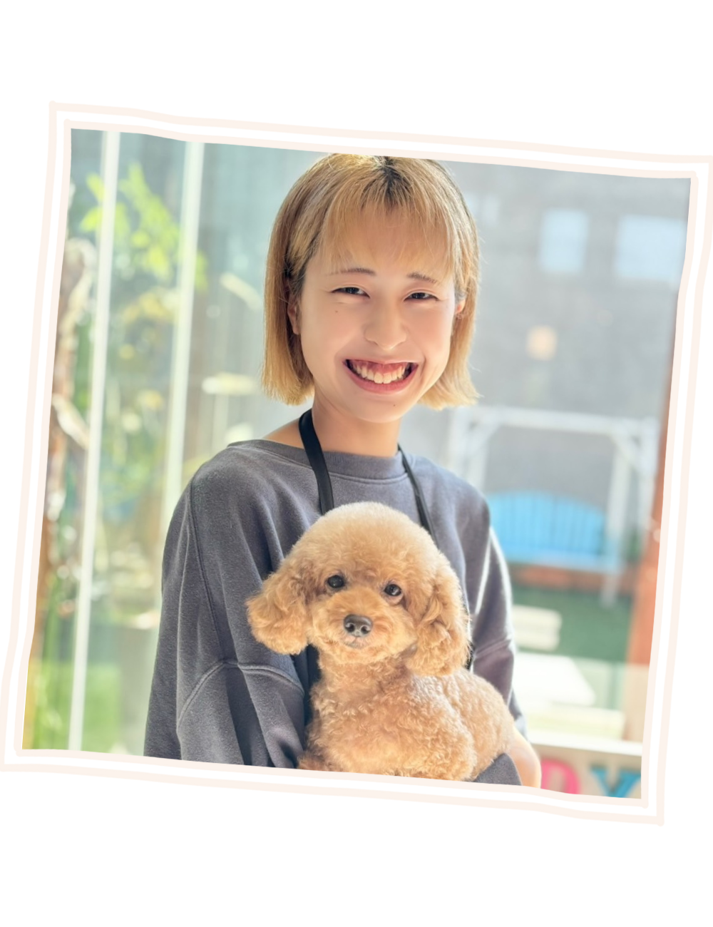 trimming salon Buddy 岡崎店